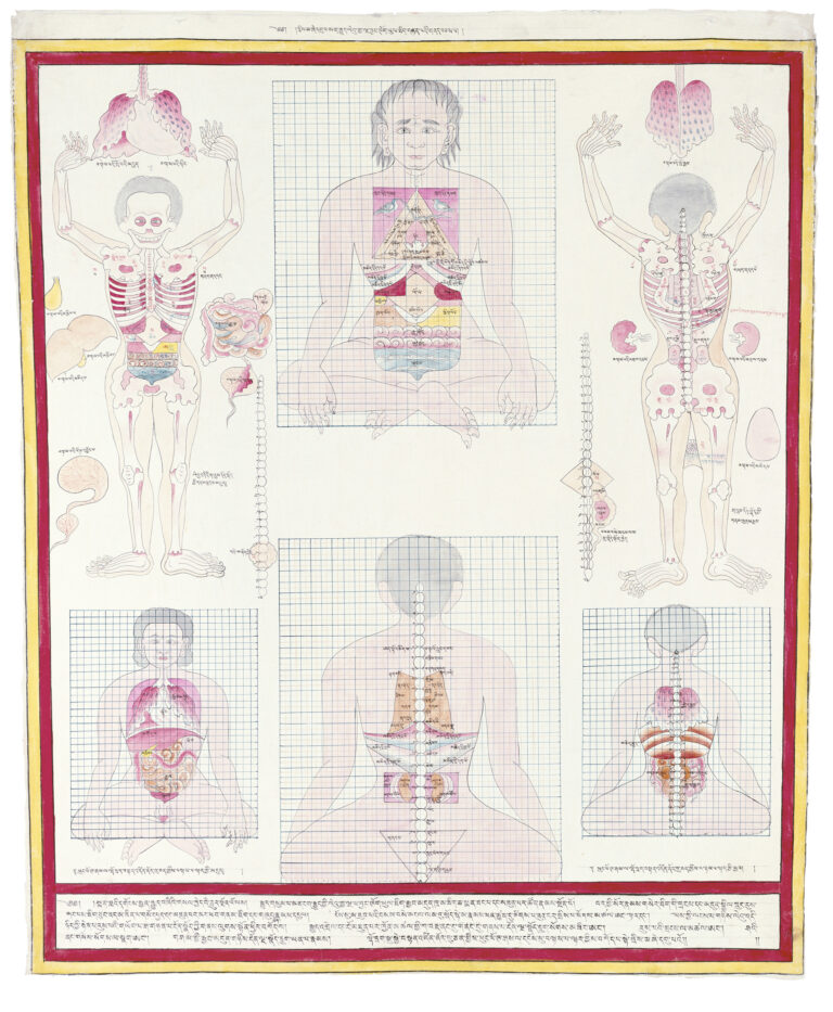 Anatomy, Painting 49 of the Tibetan Medical Paintings, Ulan Ude Set ...