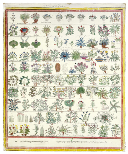 Project Himalayan Art