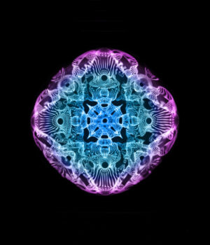 John Stuart Reid | Rubin Museum of Himalayan Art